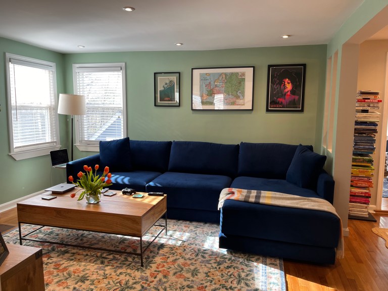 Painting Our Living Room in Benjamin Moore Cedar Grove – Bookworm ...